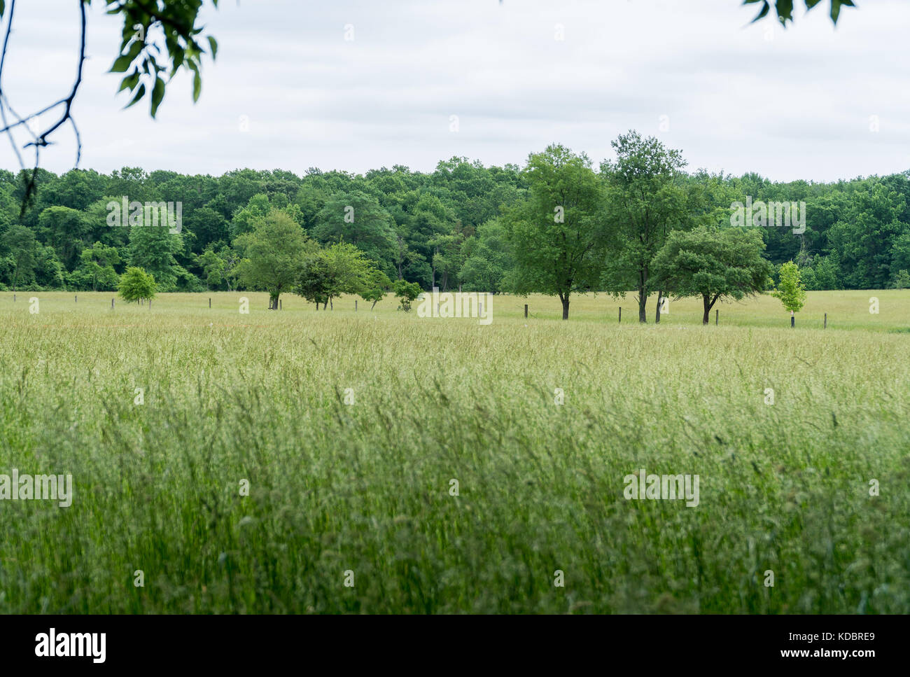 VIEW FROM ACROSS THE FIELD Stock Photo - Alamy