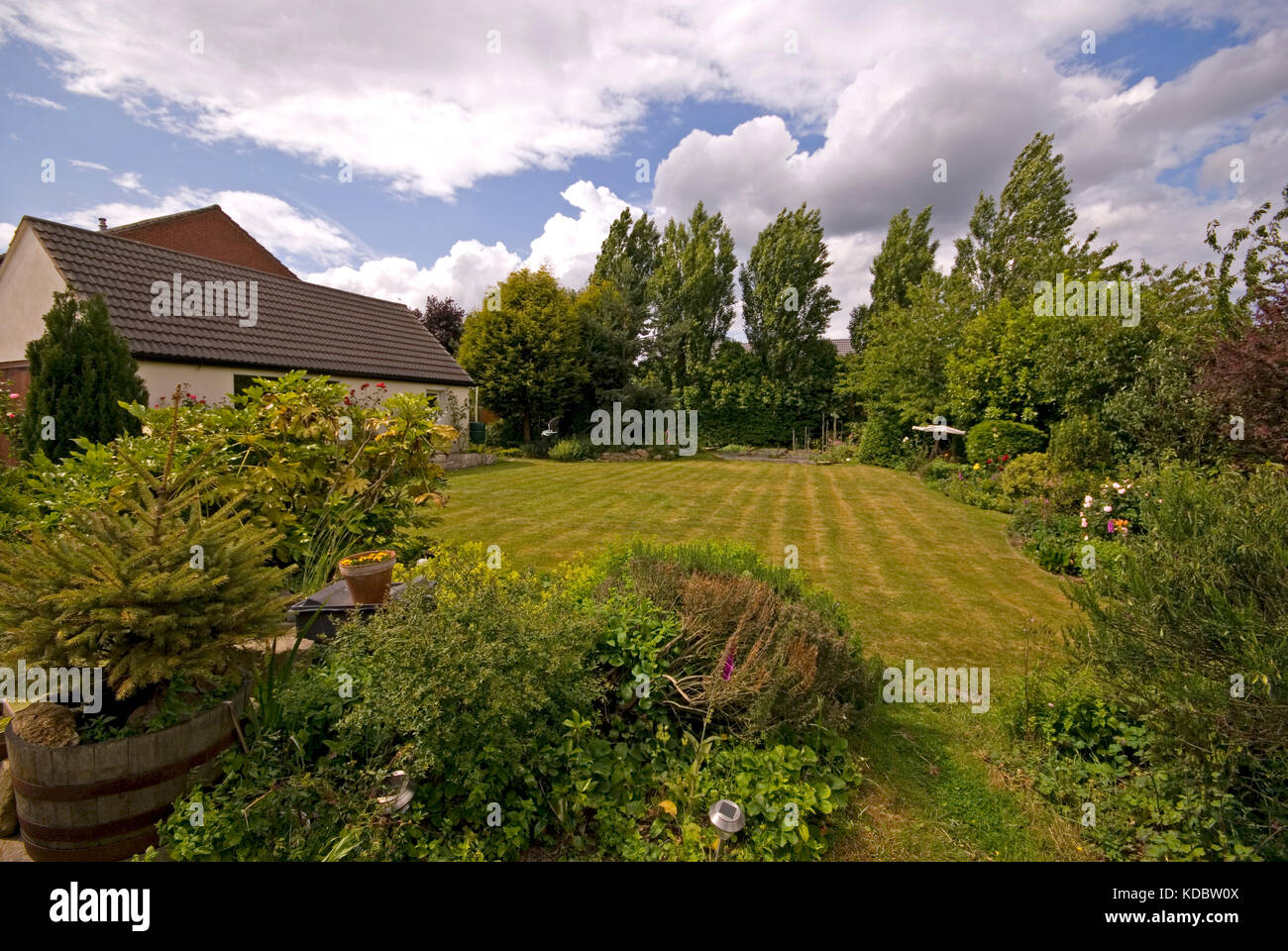 English back garden with lawn and shrubs Stock Photo - Alamy