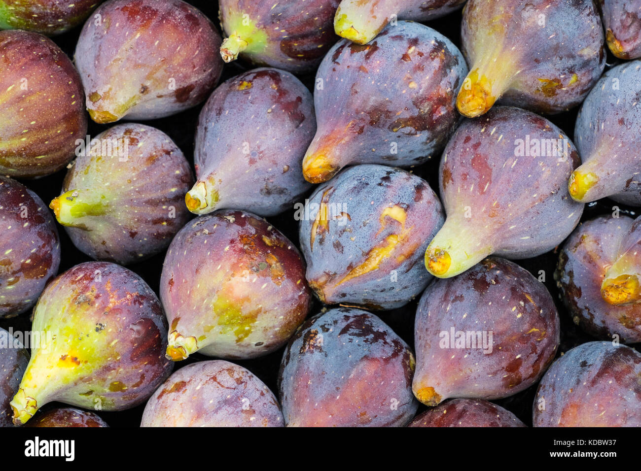 Only figs hi-res stock photography and images - Alamy