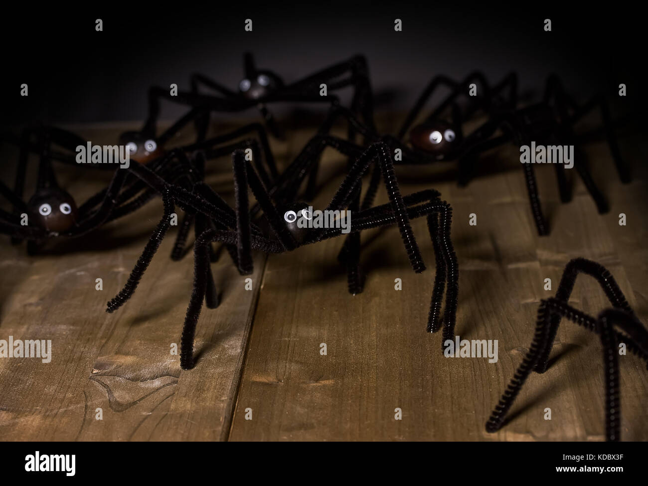 Tarantula Attack High Resolution Stock Photography and Images - Alamy