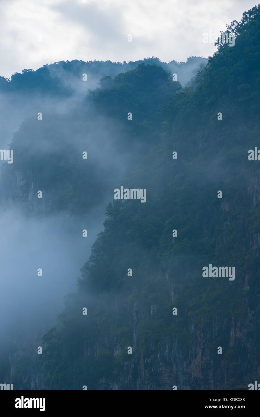 The cliffs covered with forests are shrouded in thick white fog Stock ...