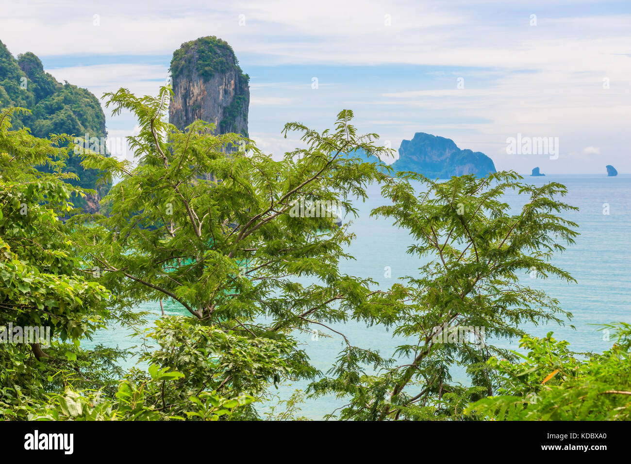 in the foreground a sprawling tree, a view of the Andaman Sea and rocks ...