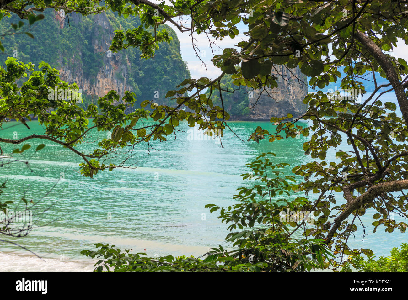 view of the beautiful bay through the foliage of a tree Stock Photo - Alamy