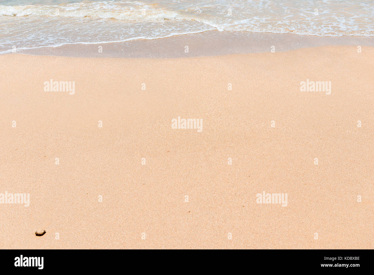 background wet sand on the beach and sea wave close-up Stock Photo - Alamy