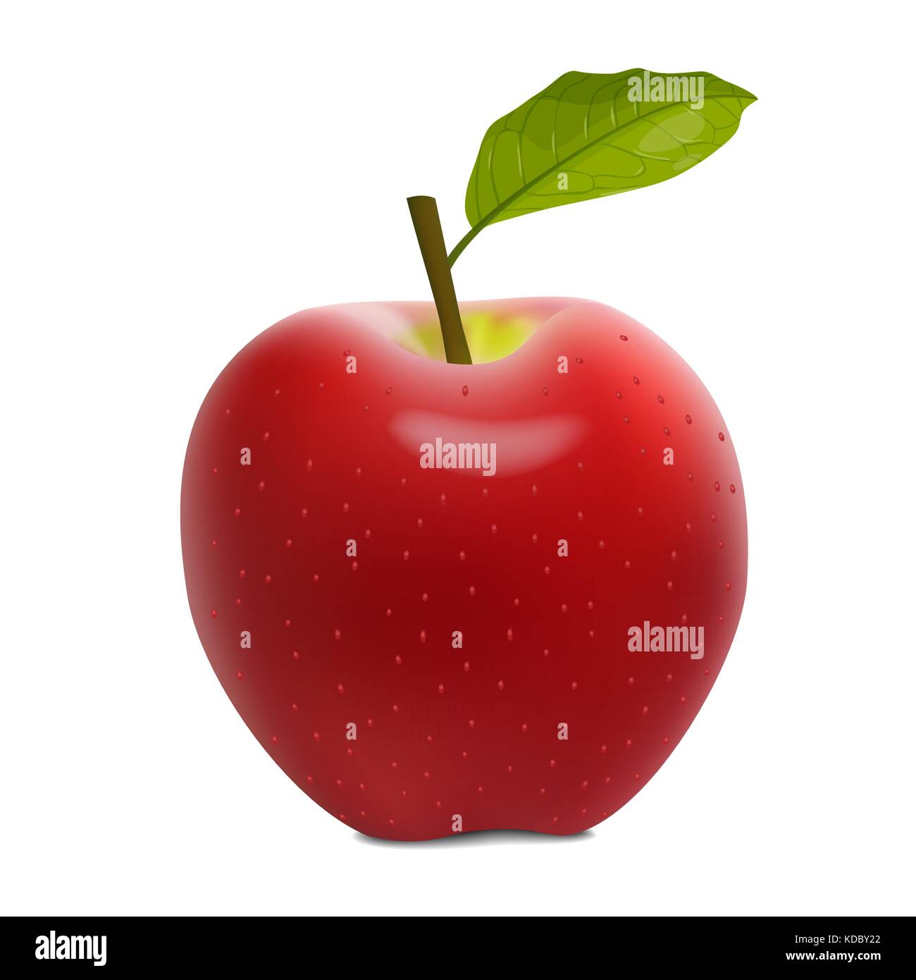 Detailed red apple. Vector illustration image. Isolated on white Stock ...