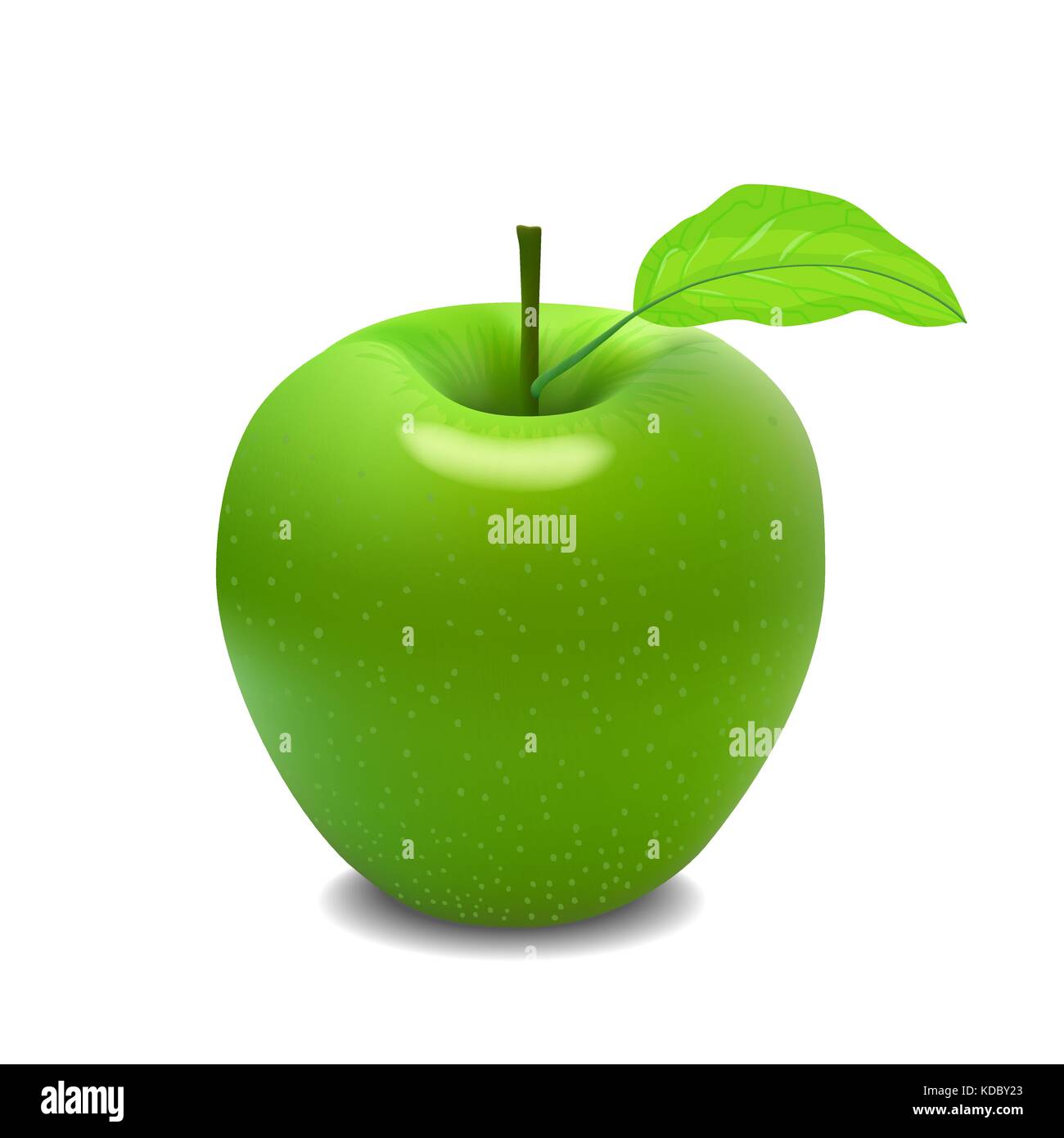 Green apple. Vector illustration image. Isolated on white Stock Vector ...