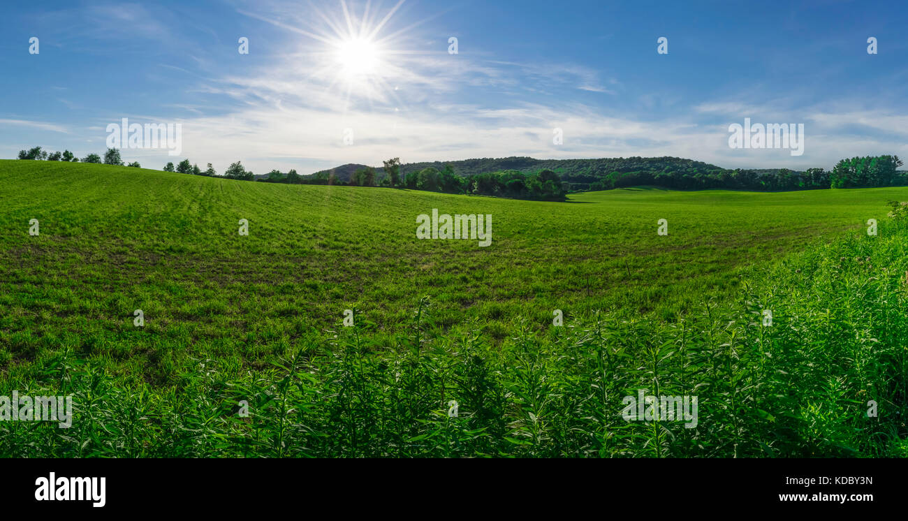 Farmer's field outside Colfax, Wisconsin Stock Photo - Alamy