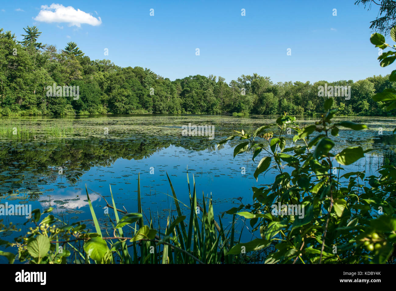 Carson Park in Eau Claire, Wisconsin Stock Photo - Alamy