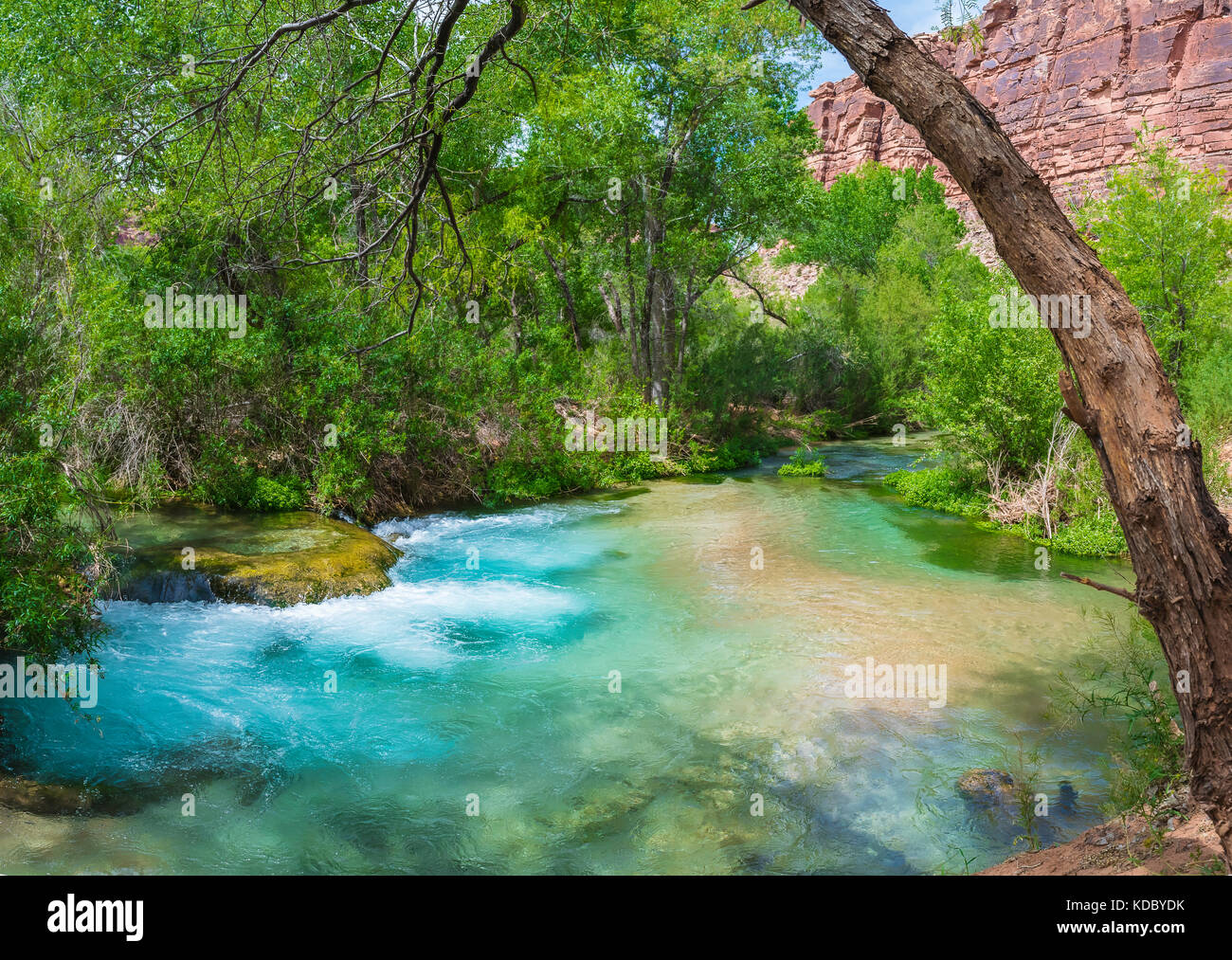 River flowing near the Havasu Falls Trail in the Havaspai Indian ...
