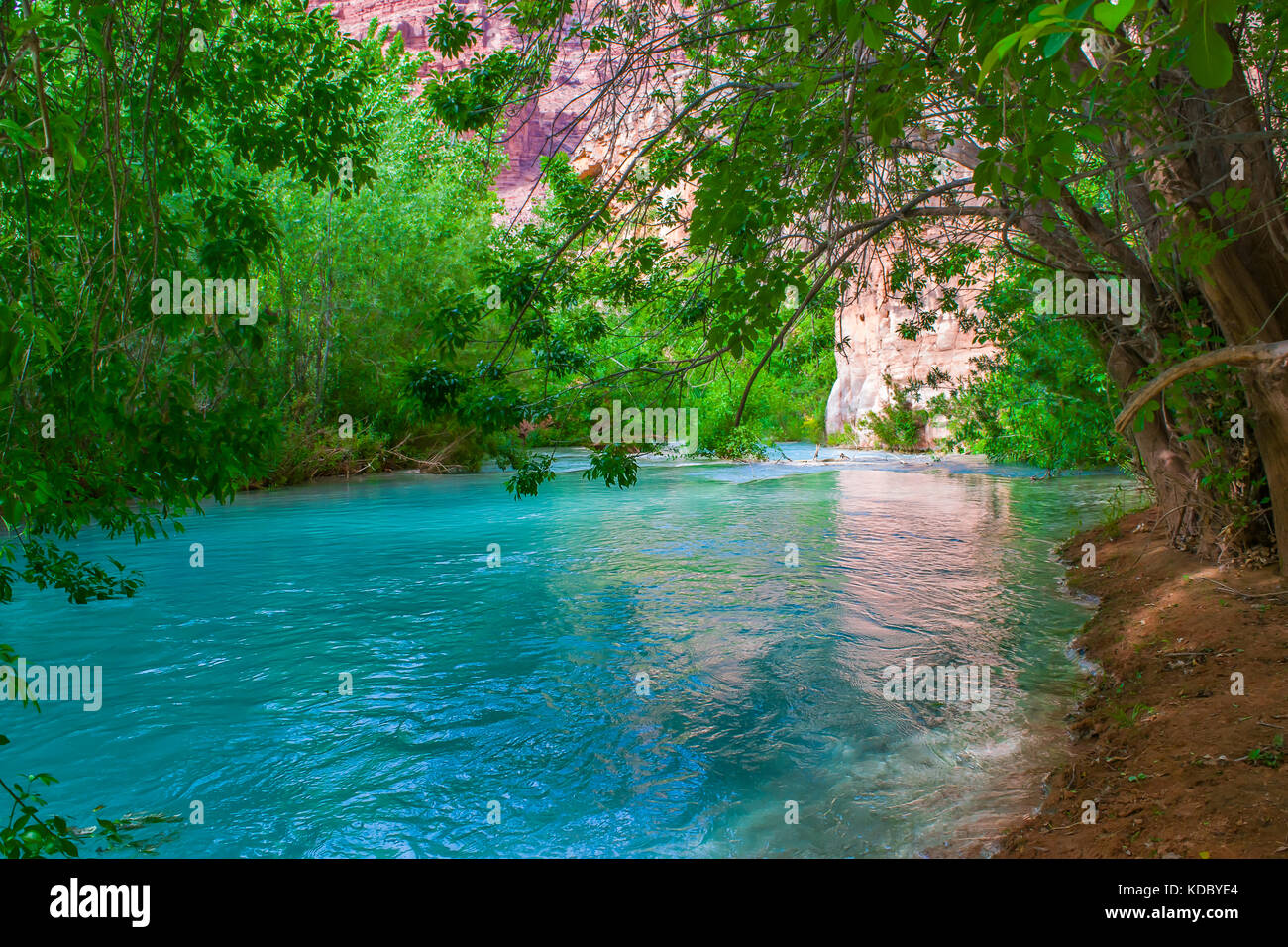River flowing near the Havasu Falls Trail in the Havaspai Indian ...