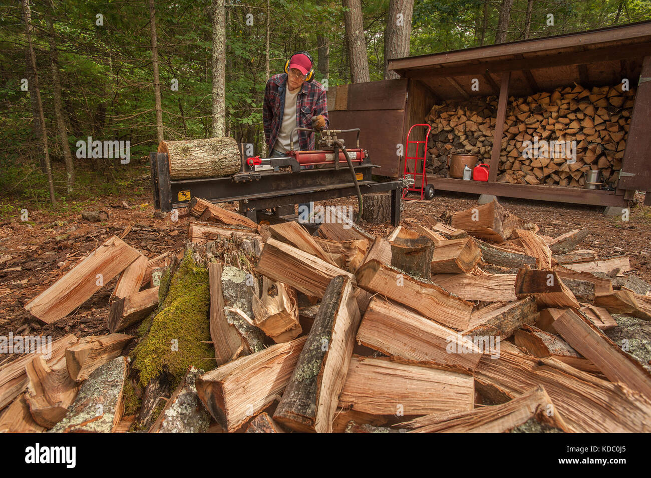 Senior man splitting wood for winter Stock Photo - Alamy