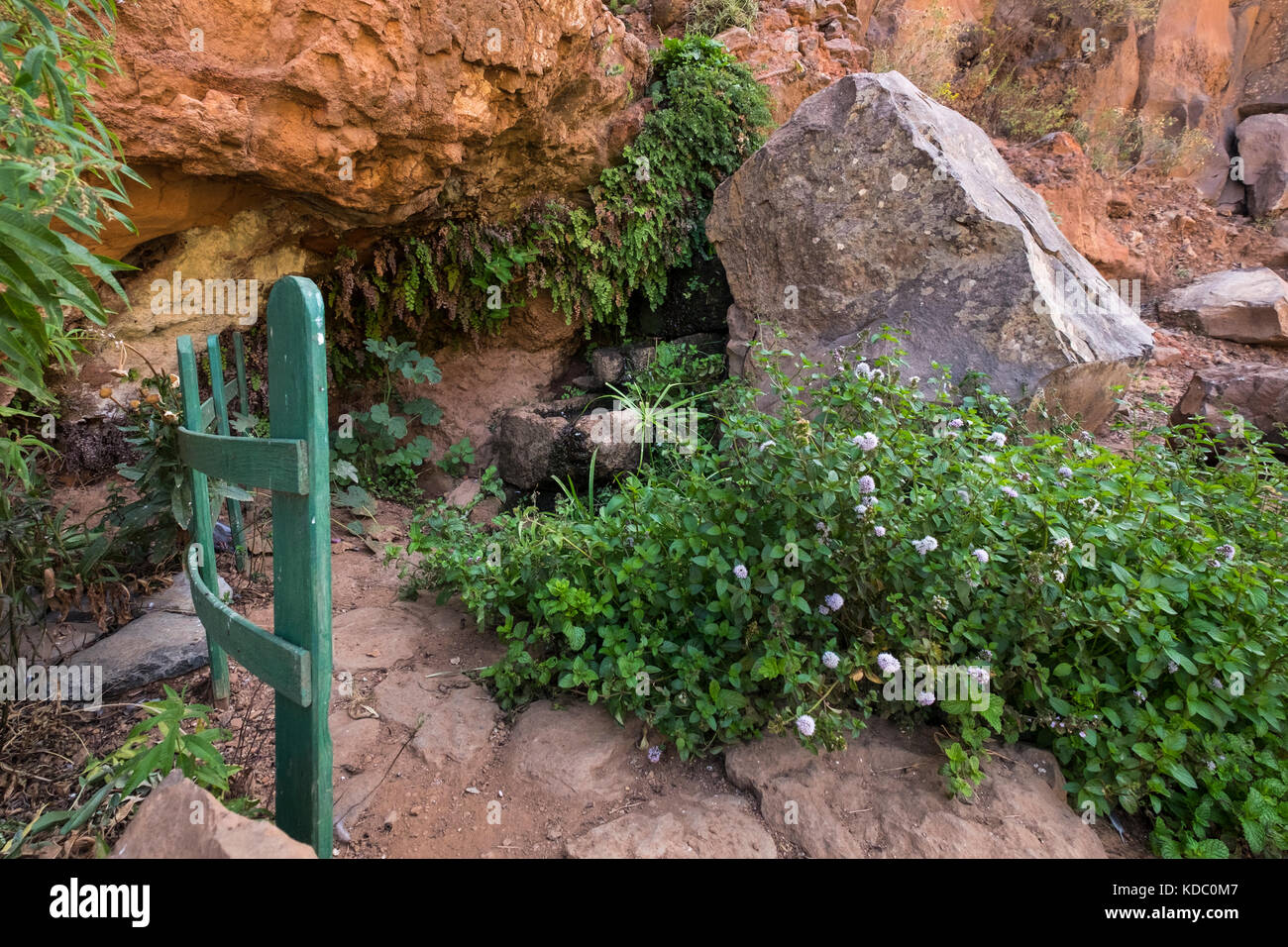 Spring water seeping from the cliff into stone basins in Ifonche, Adeje ...
