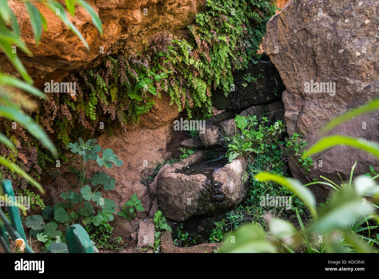 Spring water seeping from the cliff into stone basins in Ifonche, Adeje ...