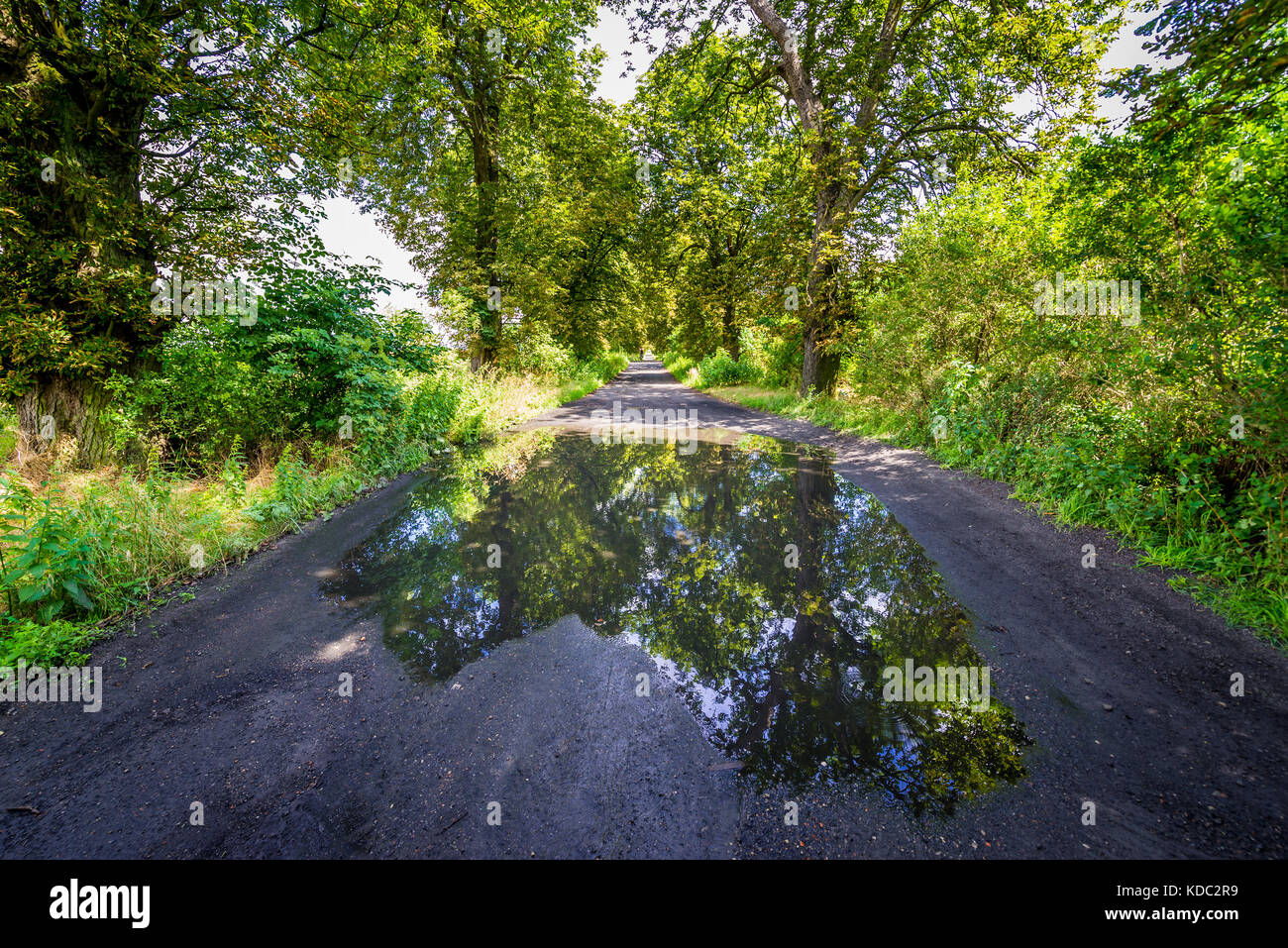 Dust puddle hi-res stock photography and images - Alamy