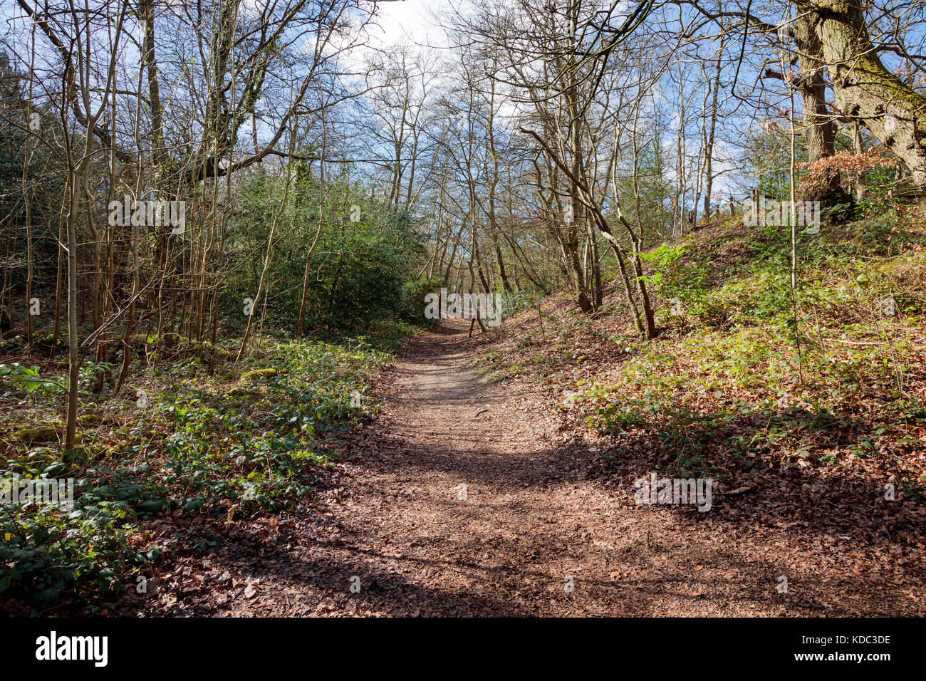 A footpath on the London Loop footpath at Keston Common, in dappled ...