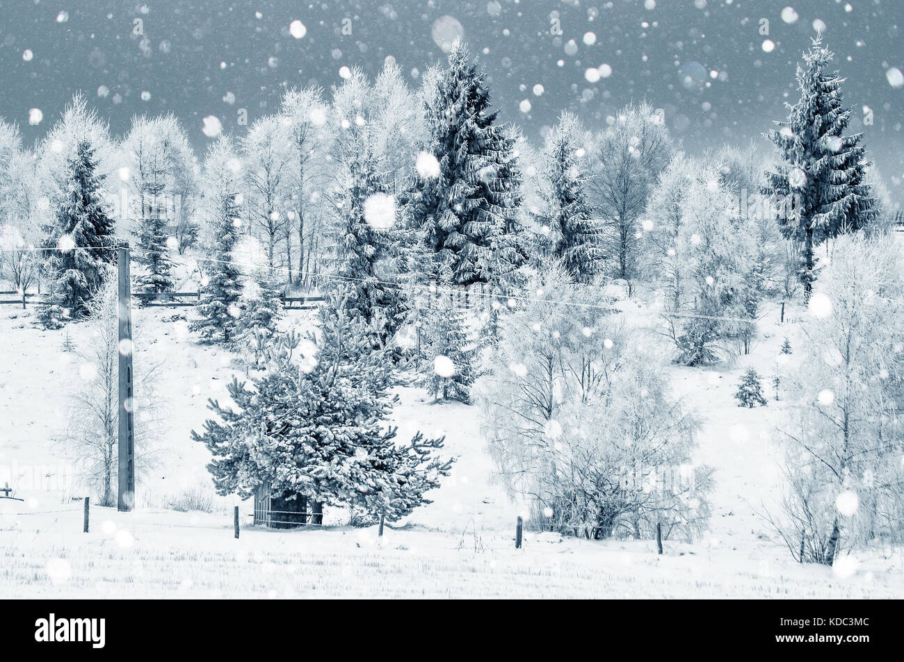 Heavy snowfall. Landscape of winter mountains with trees and snowflakes ...