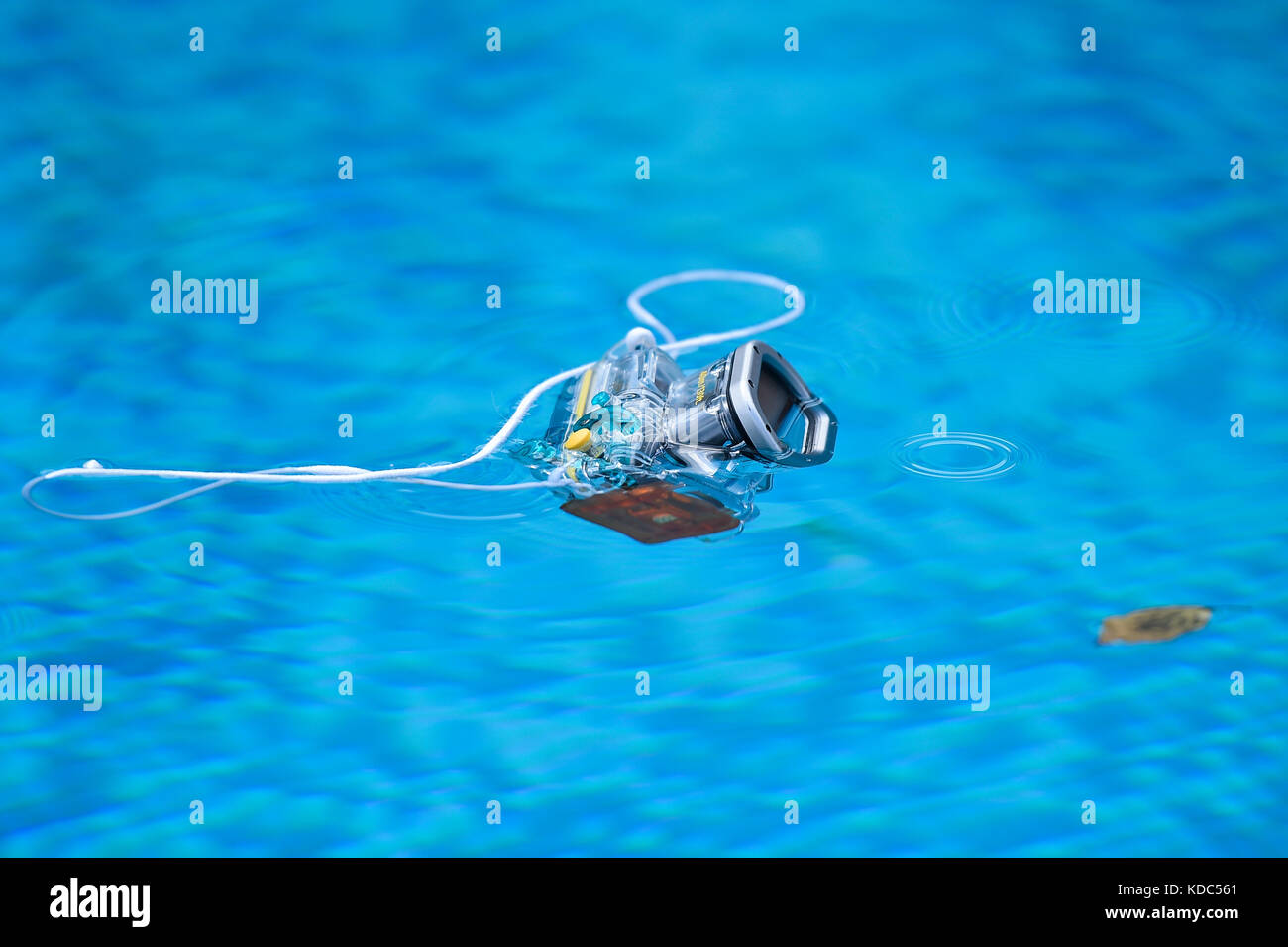 Underwater photo camera housing floating in a swimming pool Stock Photo ...