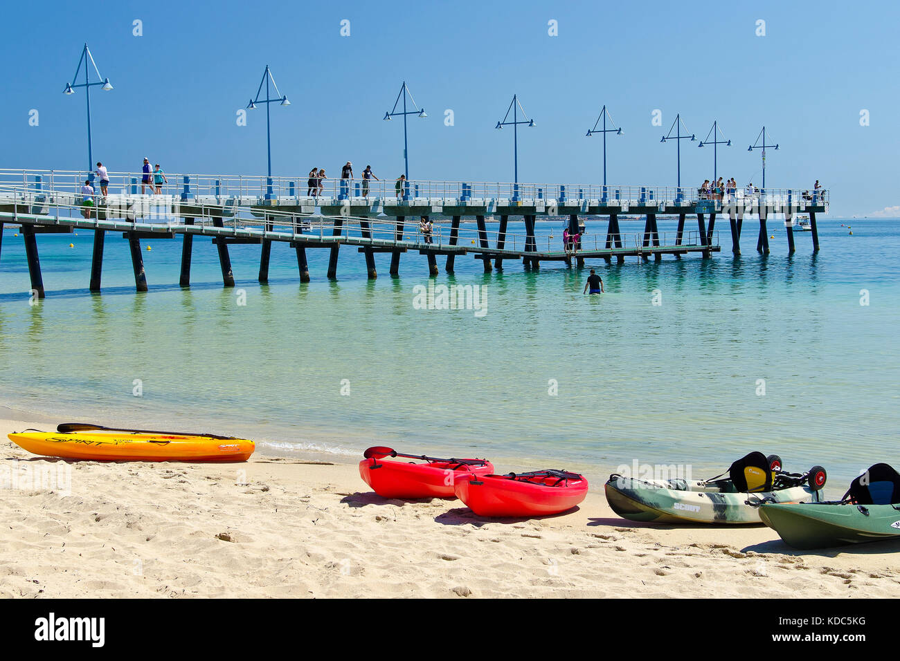 Families enjoying sandy beach on sunny day at Palm Beach Jetty ...