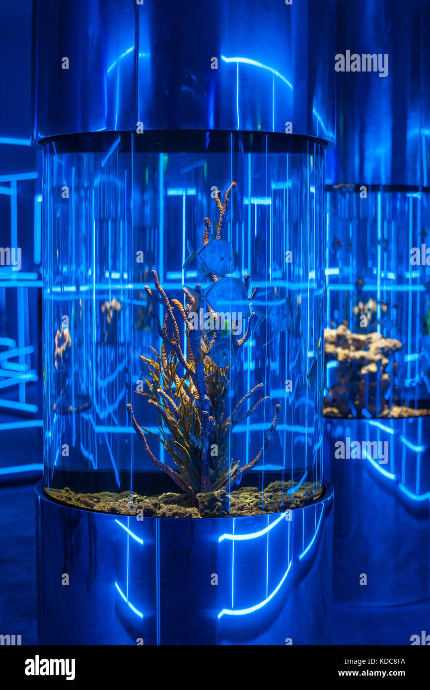 Sea life bangkok ocean world hi-res stock photography and images - Alamy