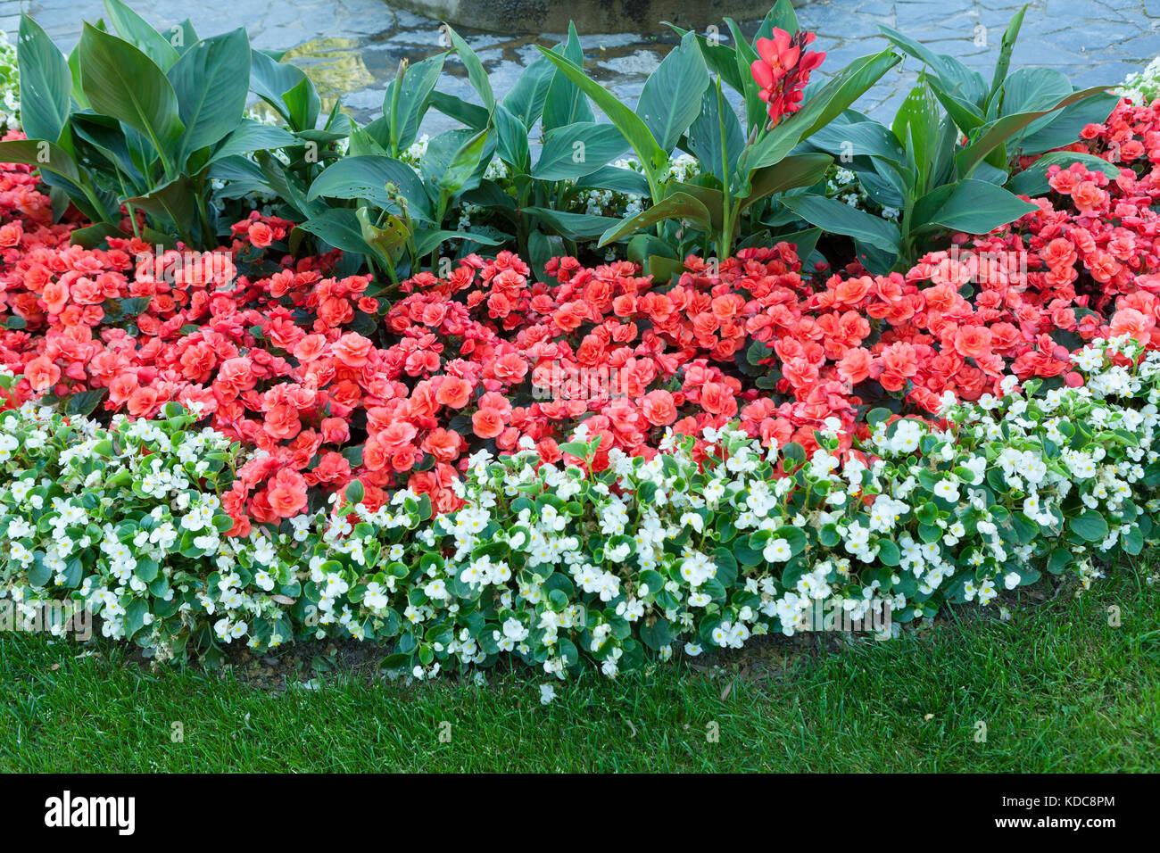 Beautiful flowers in park Stock Photo - Alamy