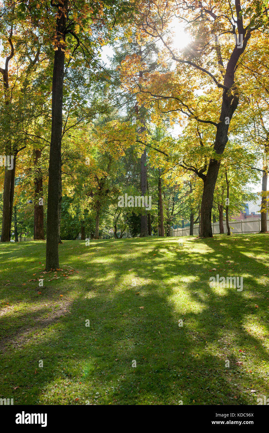 City through grass hi-res stock photography and images - Alamy