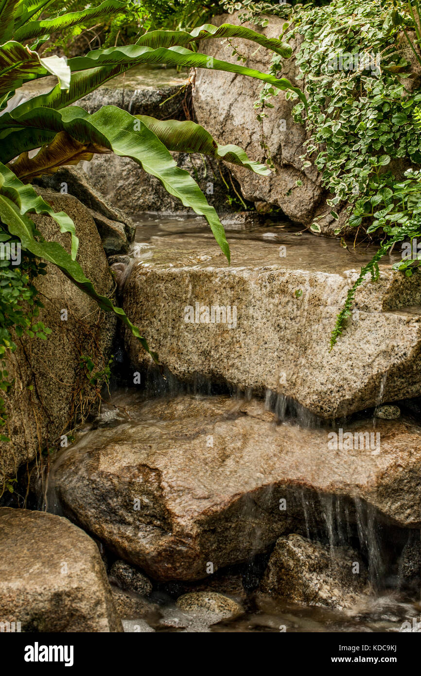 An indoor man made water feature inside an arboretum Stock Photo - Alamy