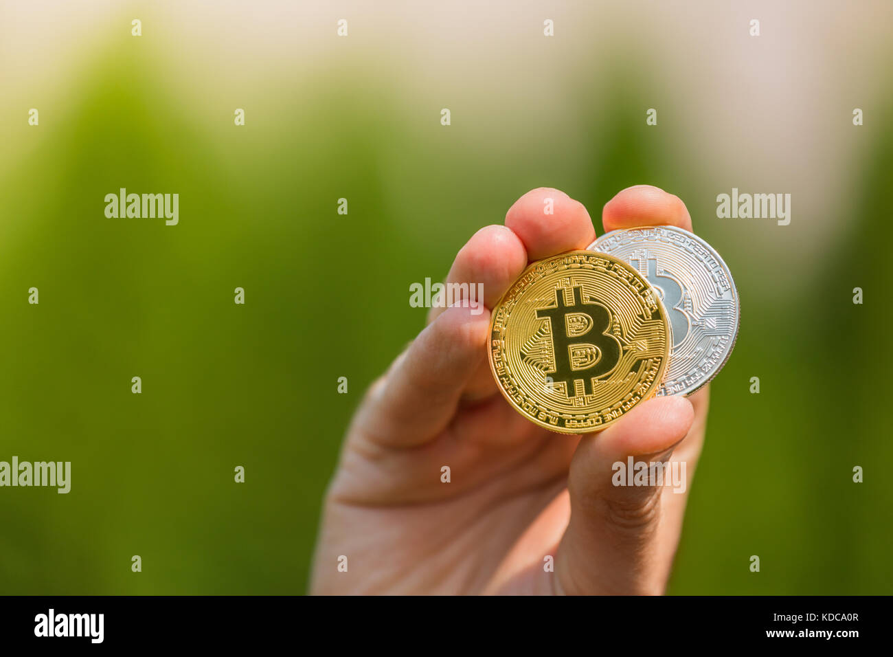 Hand holds silver coin hi-res stock photography and images - Alamy