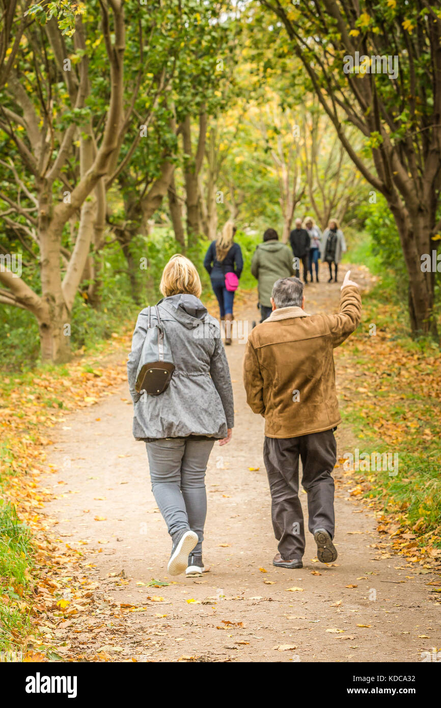 A group of people on a woodland walk in autumn Stock Photo - Alamy