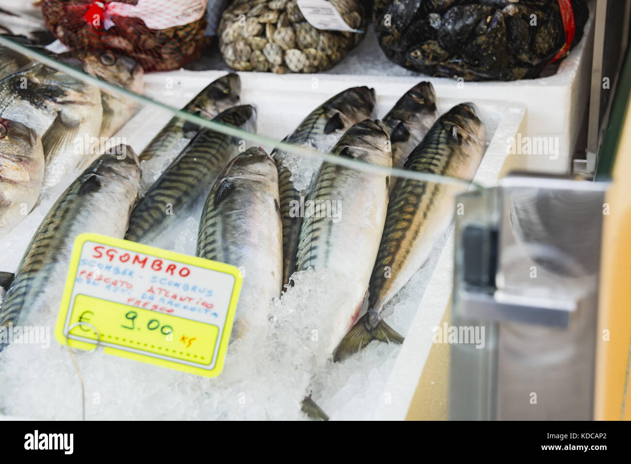Porcini Italy High Resolution Stock Photography and Images - Alamy