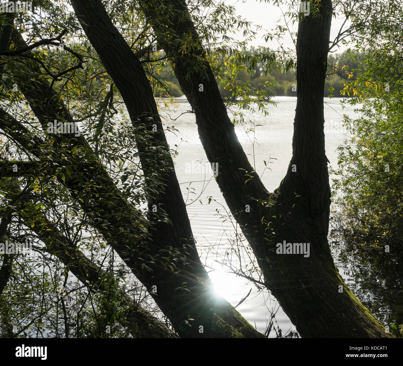 Sun reflecting off lake Stock Photo - Alamy