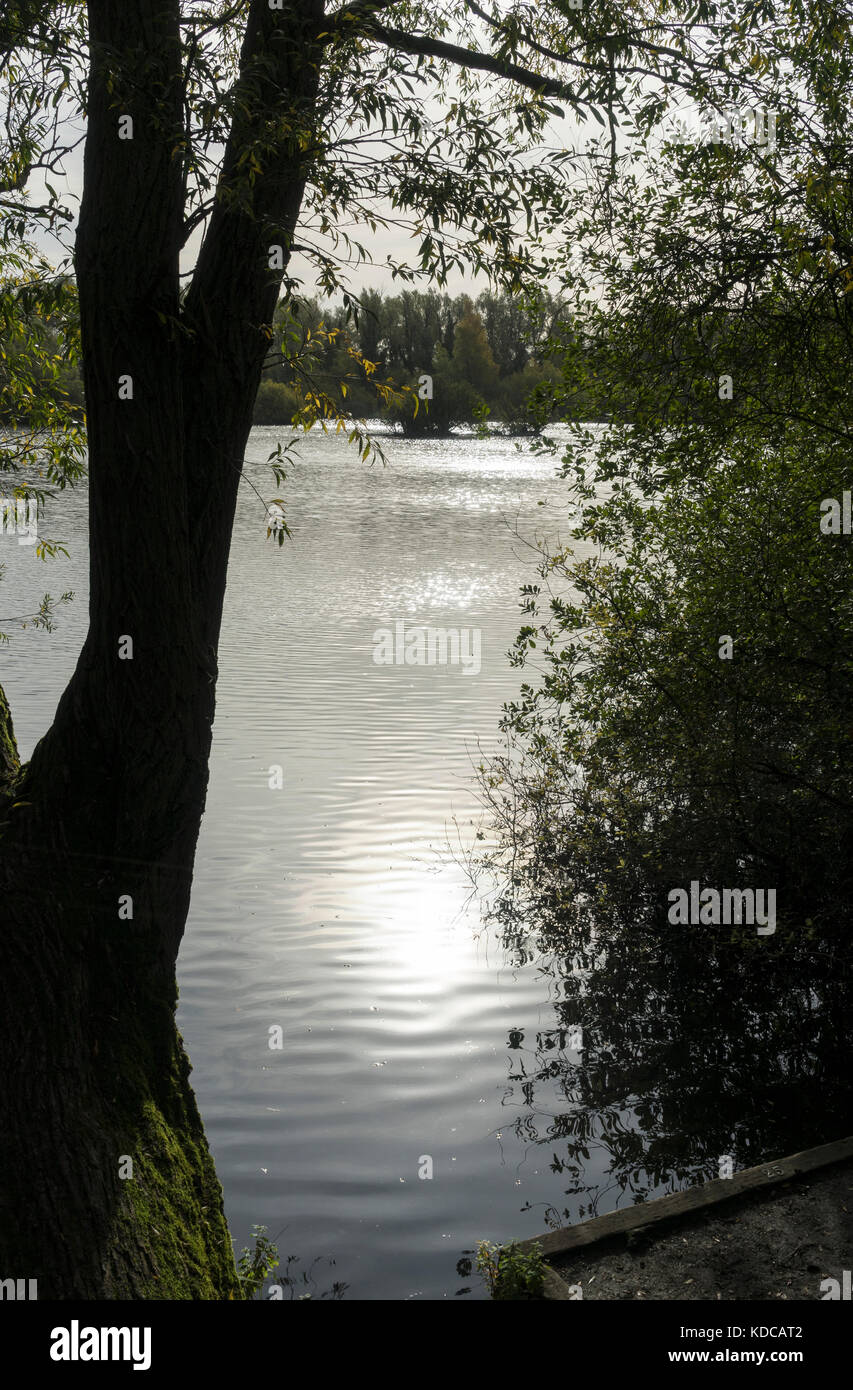 Sunlight glinting off water Stock Photo - Alamy