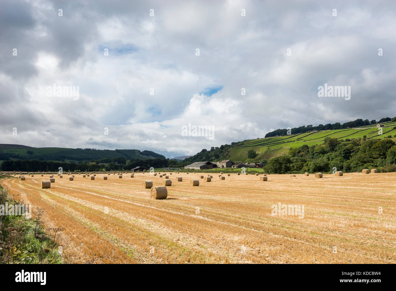 Marrick north yorkshire england hi-res stock photography and images - Alamy