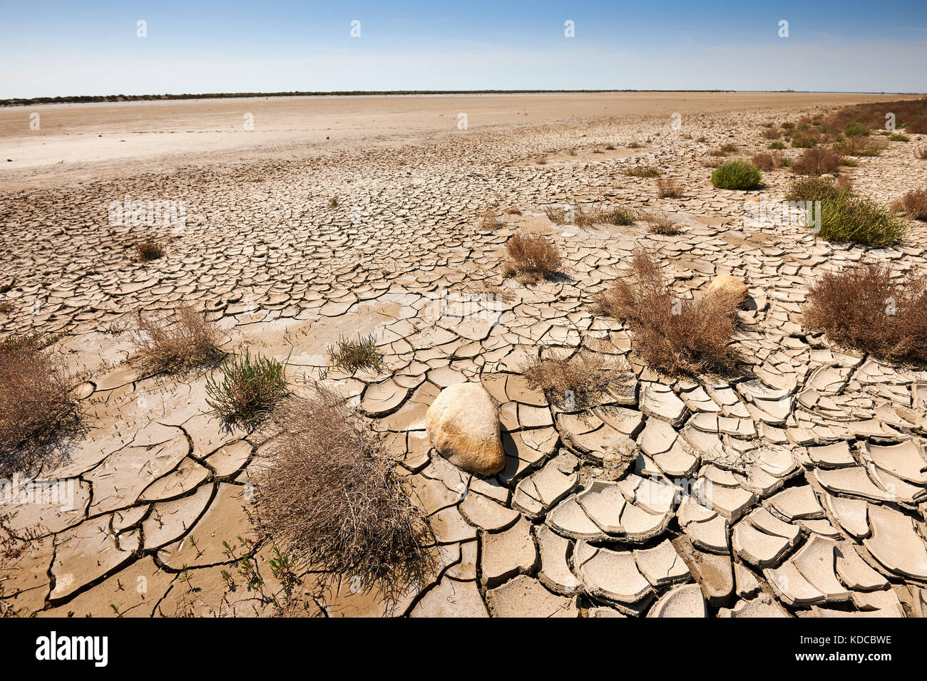 Earth and sand desert with footprints departing Stock Photo - Alamy