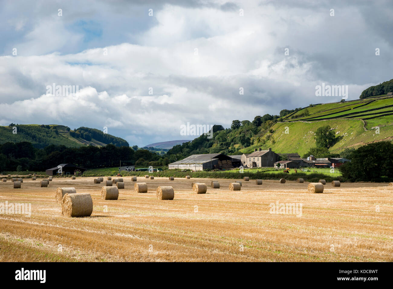 Round hay bales in Lower Swaledale, North Yorkshire England. A sunny ...