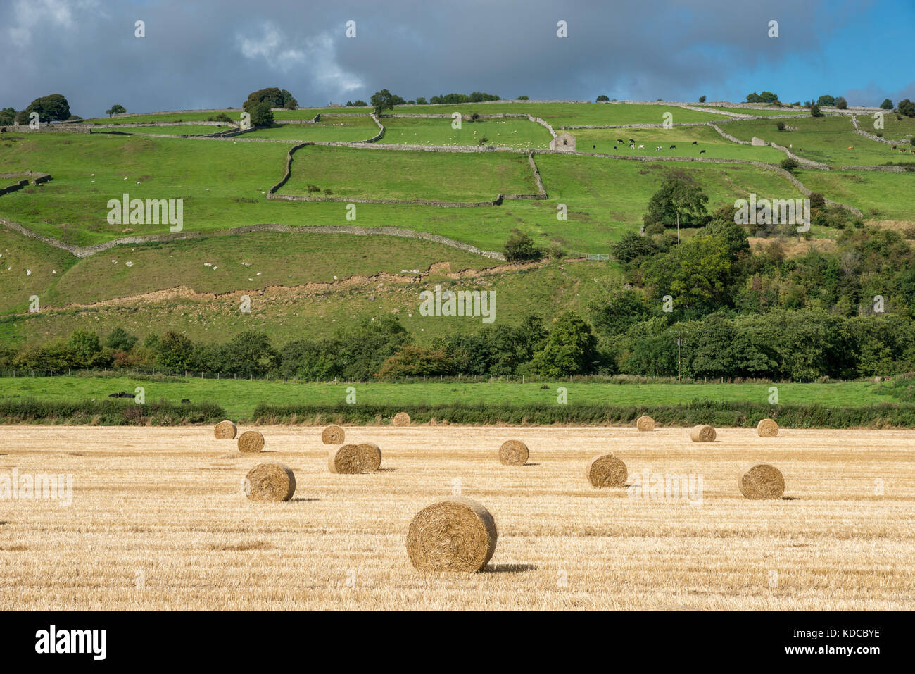 Round hay bales in Lower Swaledale, North Yorkshire England. A sunny ...