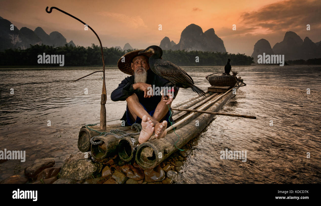 Cormorant fisherman and his birds on the Li River in Yangshuo Stock ...