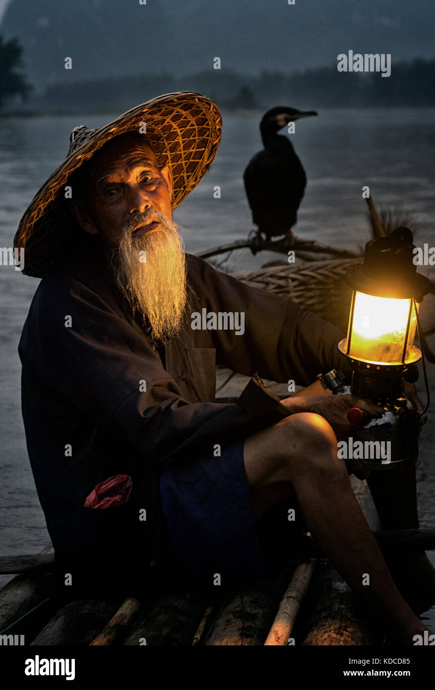 Cormorant fisherman and his birds on the Li River in Yangshuo Stock ...