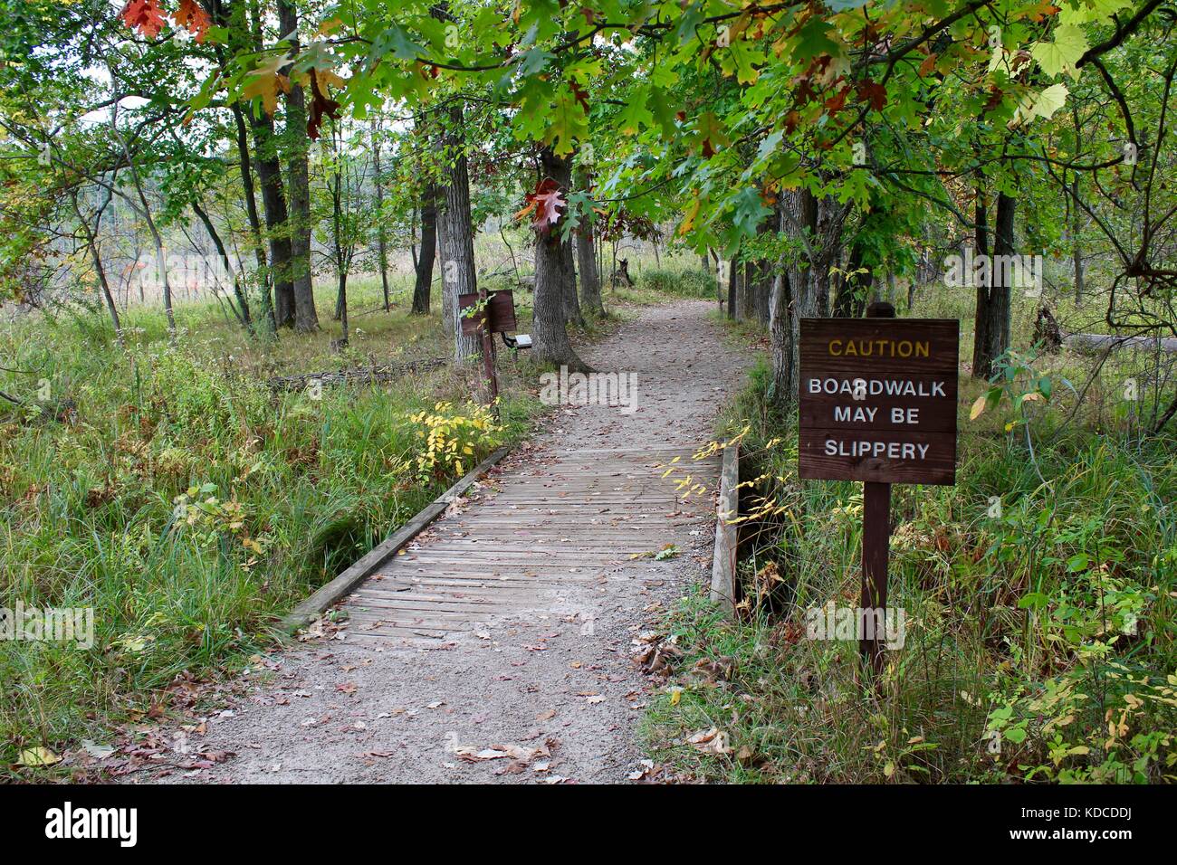 A boardwalk path leading to a scenic landscape view Stock Photo - Alamy