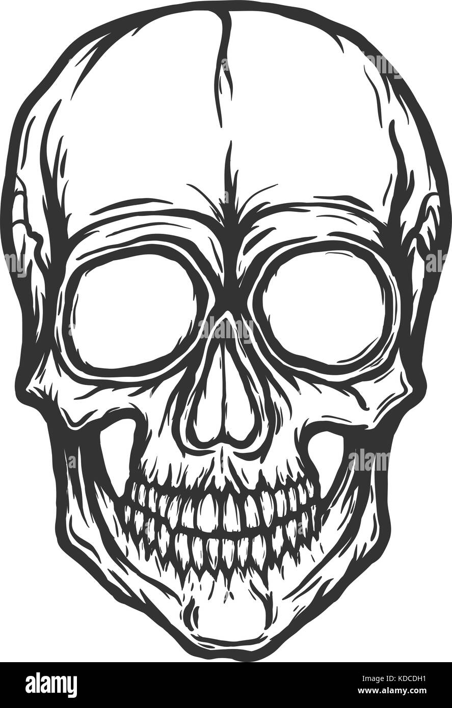 Skull black and white vector illustration Stock Vector Images - Alamy