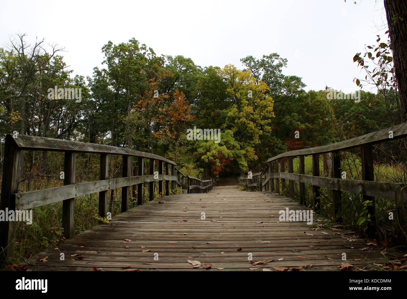 A boardwalk path leading to a scenic landscape view Stock Photo - Alamy