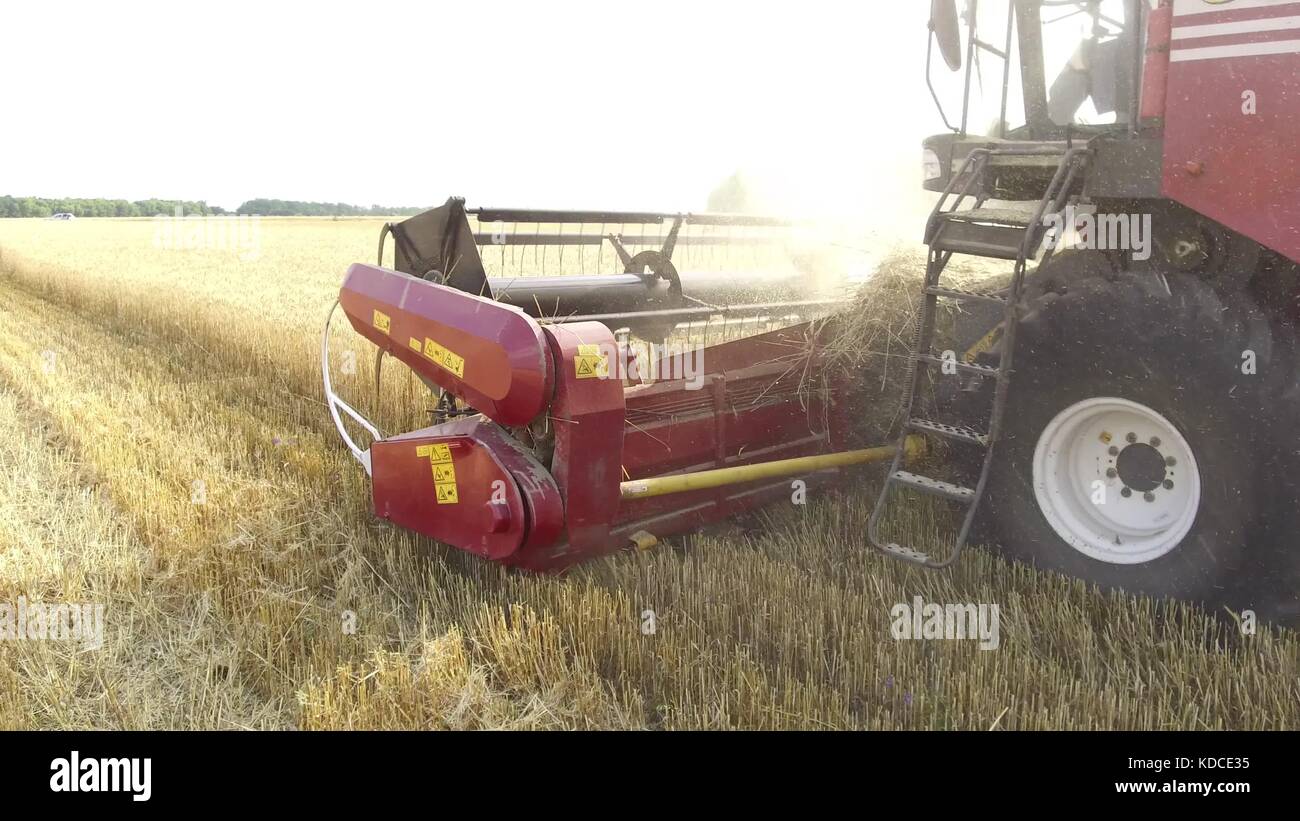 Wheat harvesting shearers. Wheat is harvesting agriculture. Harvesting ...