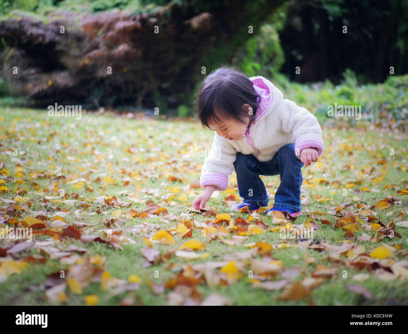 Baby girl playing at Autumn outdoor park Stock Photo - Alamy