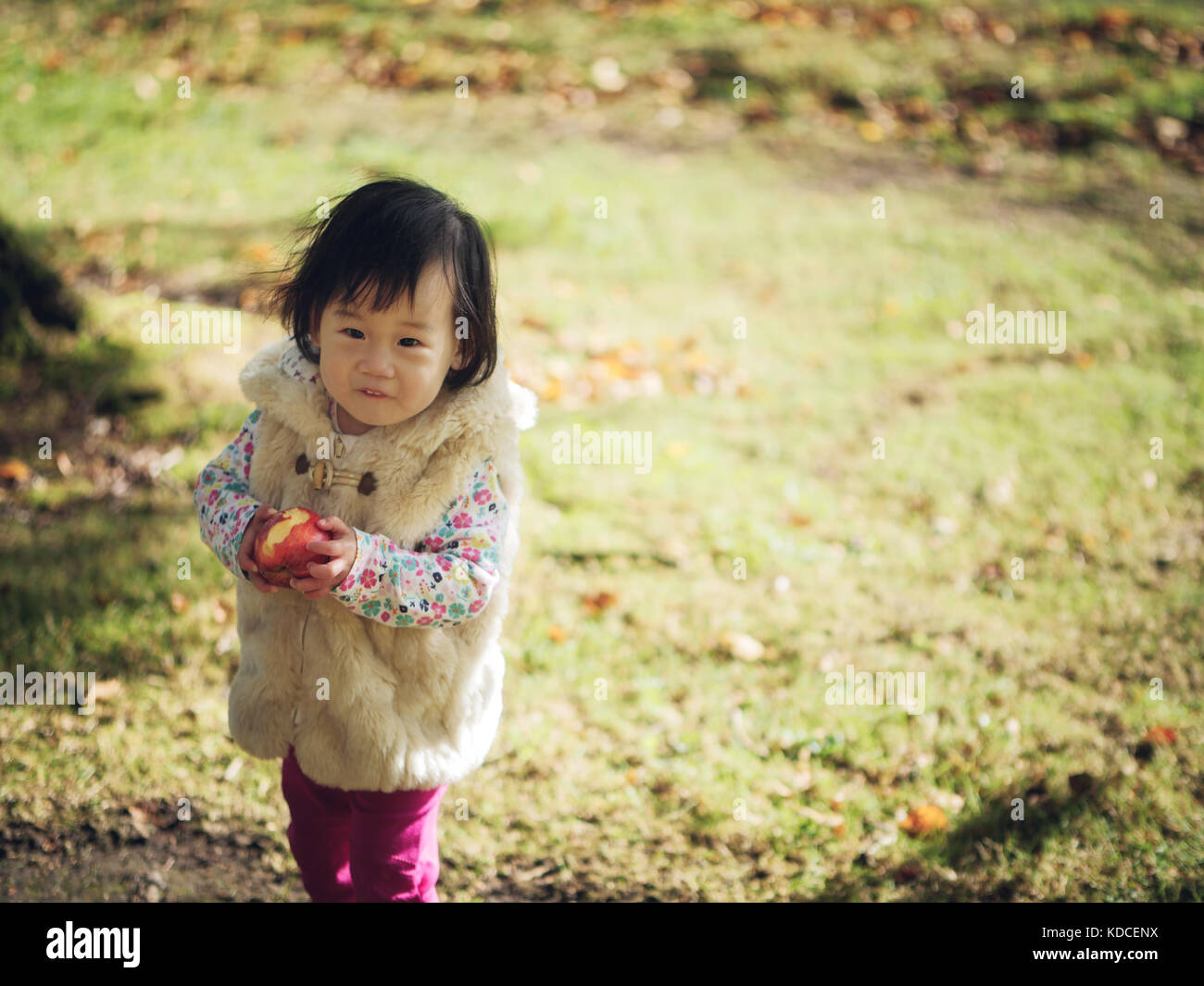 Baby girl playing at Autumn outdoor park Stock Photo - Alamy