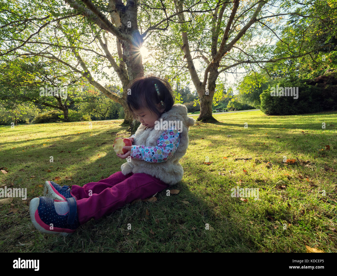 Baby girl playing at Autumn outdoor park Stock Photo - Alamy