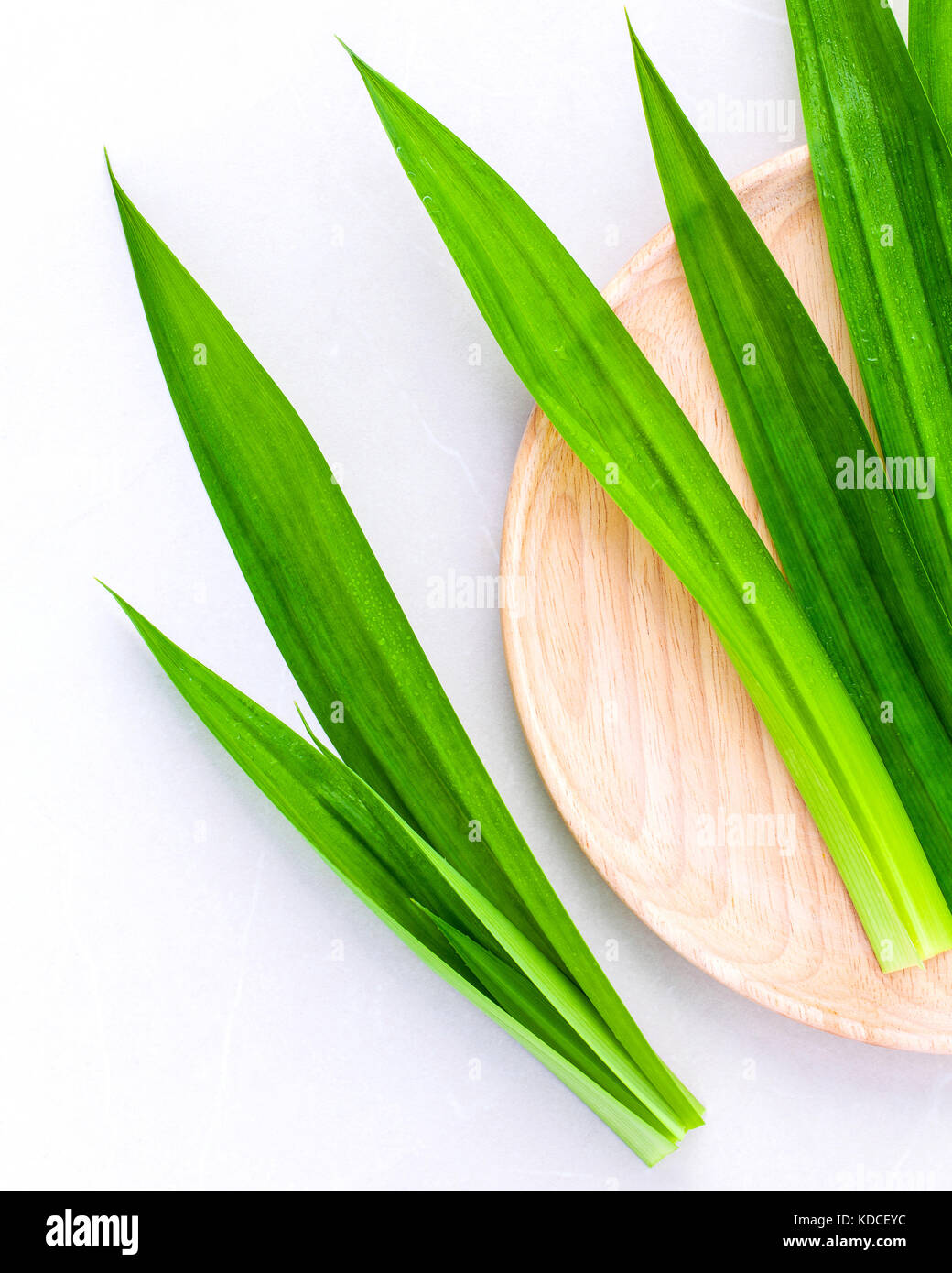 Pandan leaves 's herbal ingredient for dessert ,tea and aromatherapy ...