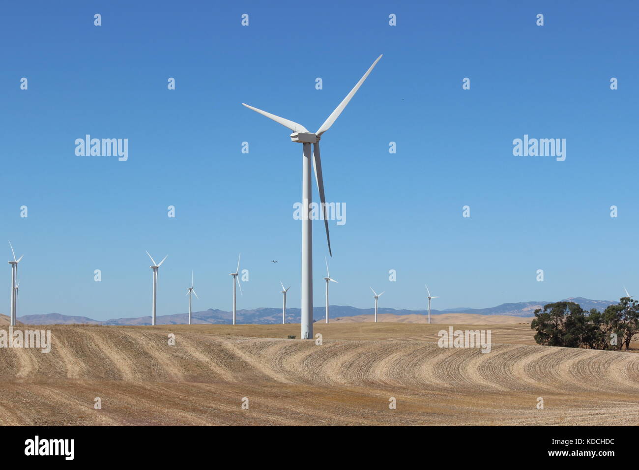 Rio vista wind turbines hi-res stock photography and images - Alamy