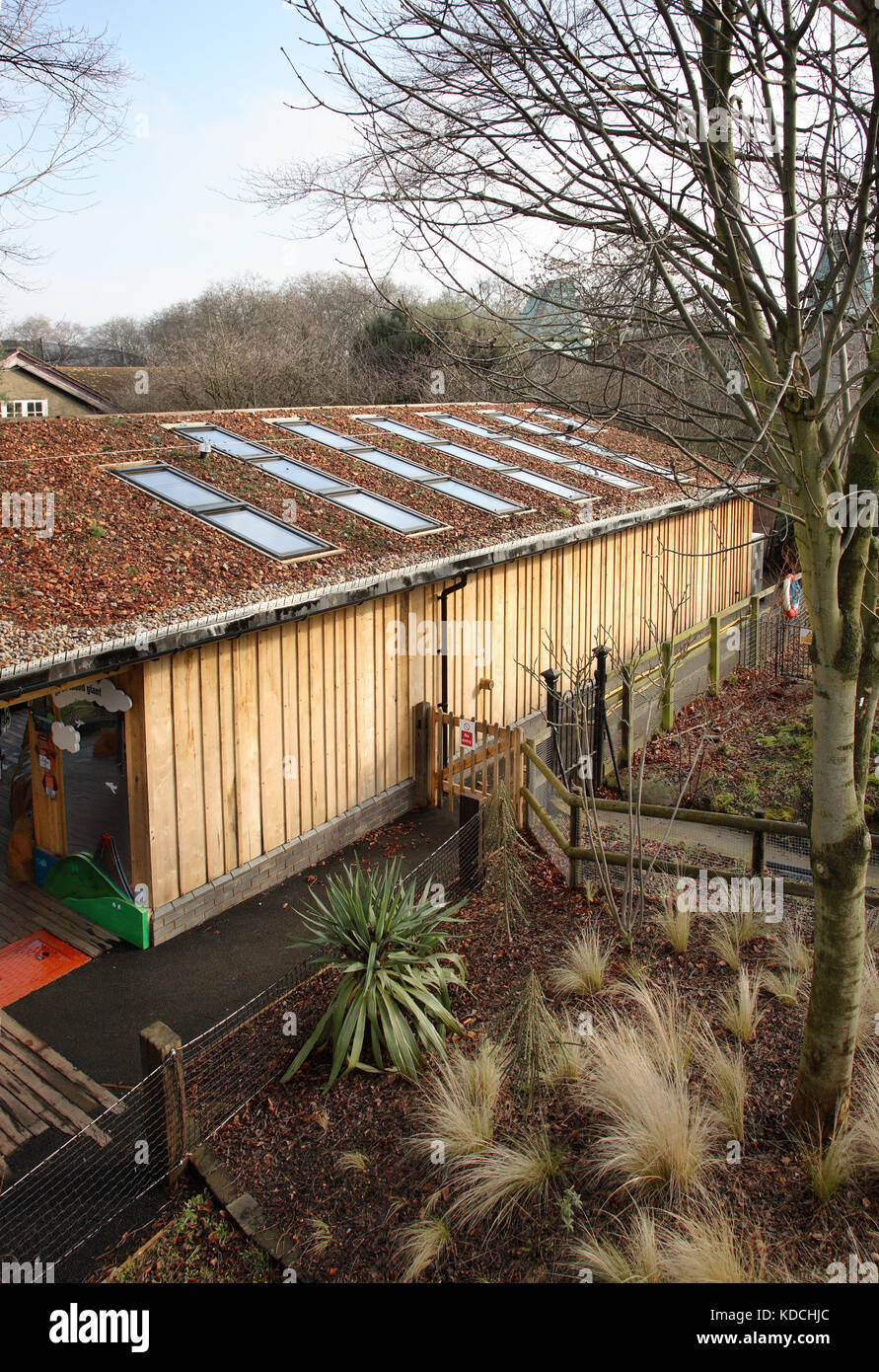 Turtle house windows hi-res stock photography and images - Alamy