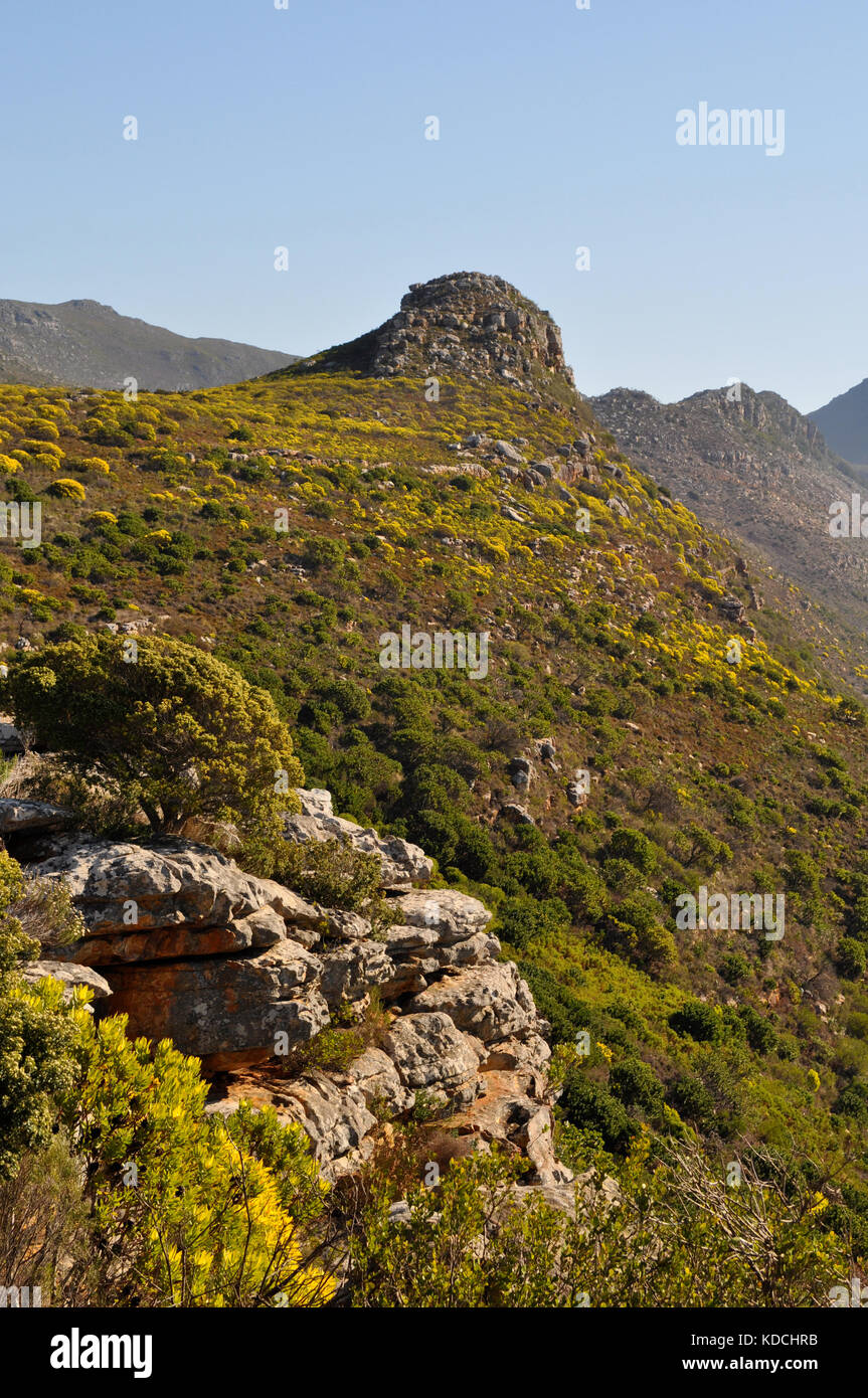 view near Silvermine Nature Reserve, Table Mountain National Park, Cape ...