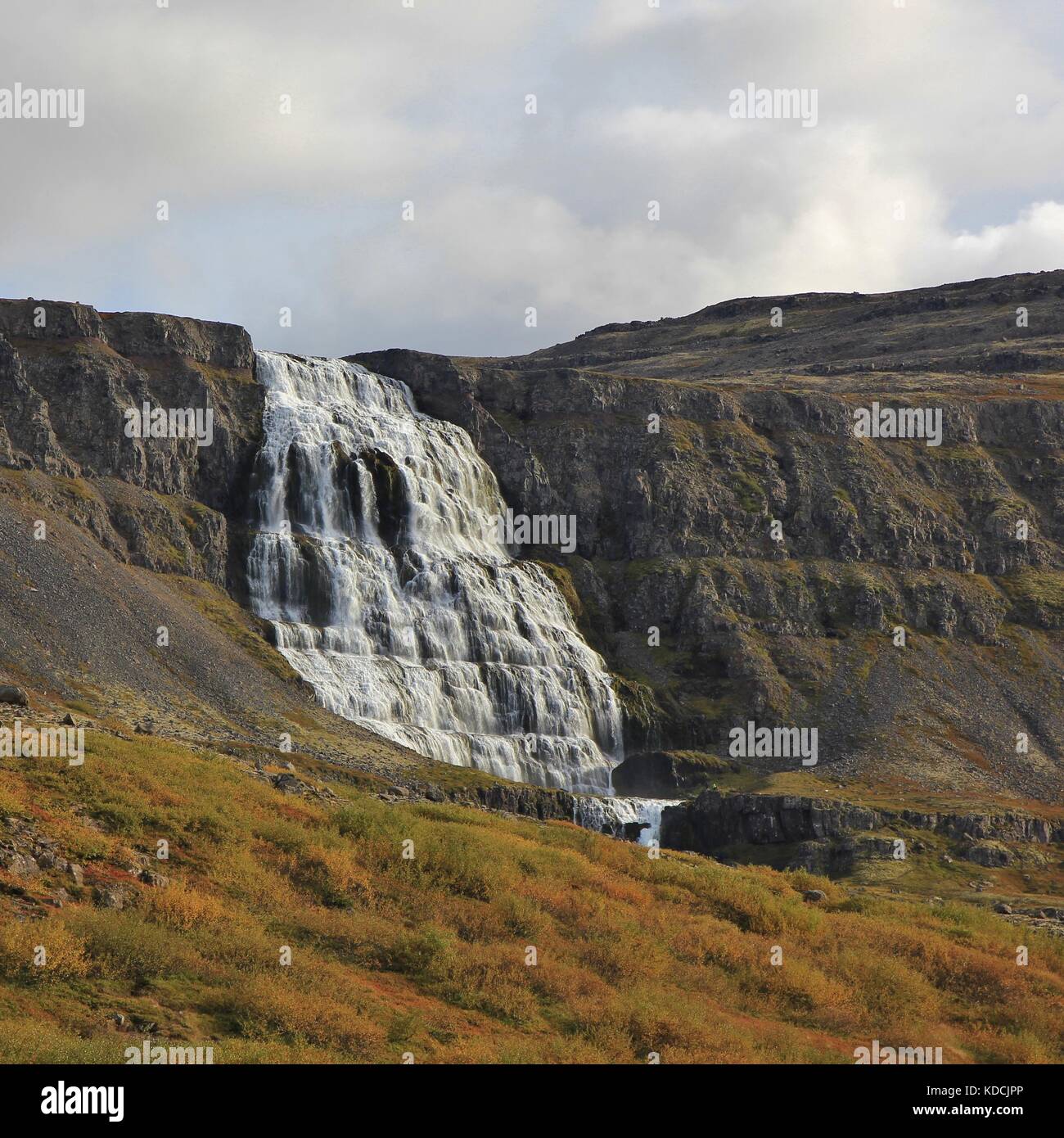 Waterfall in the west fjords of Iceland Stock Photo - Alamy