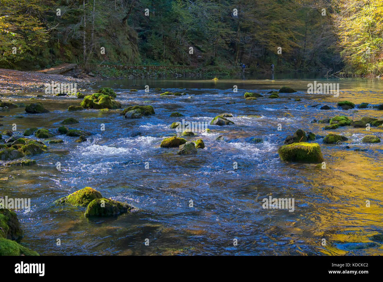 Kupa River at Risnjak National Park, Croatia Stock Photo - Alamy